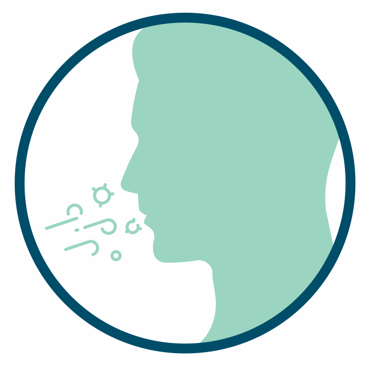 Bionase™ Nasal Congestion Spray